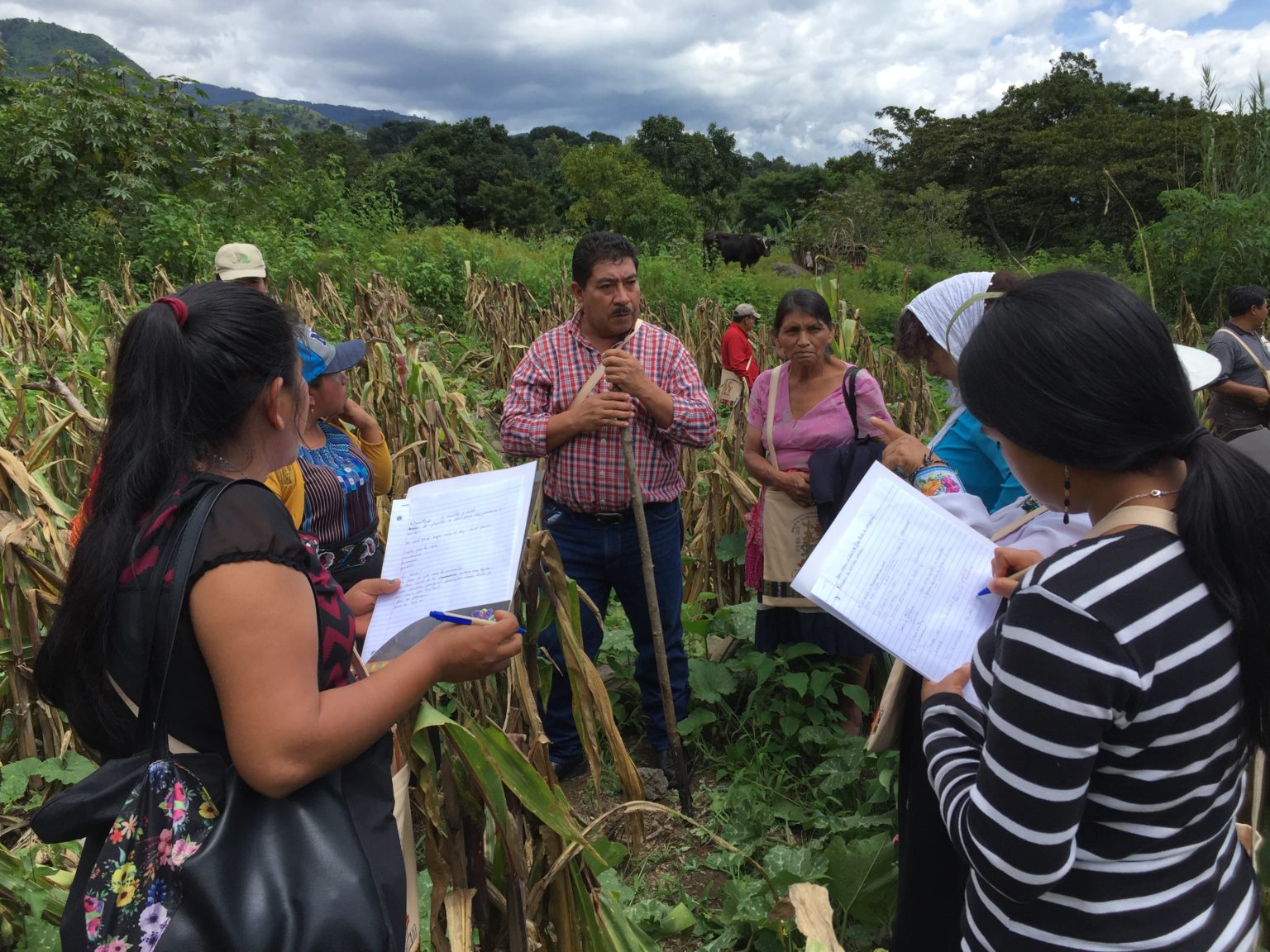 Learn More About Thousand Currents – The West Foundation